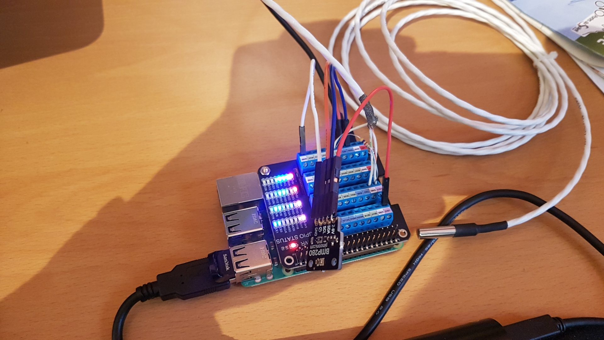 octopus foundation sensor device monitoring monk seal - Le phoque moine ...